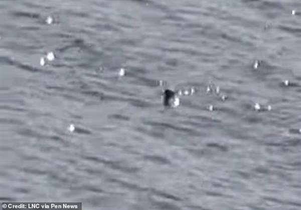 Loch Ness Monster Filmed Again， Pixelated Quality Sparks Doubt ...
